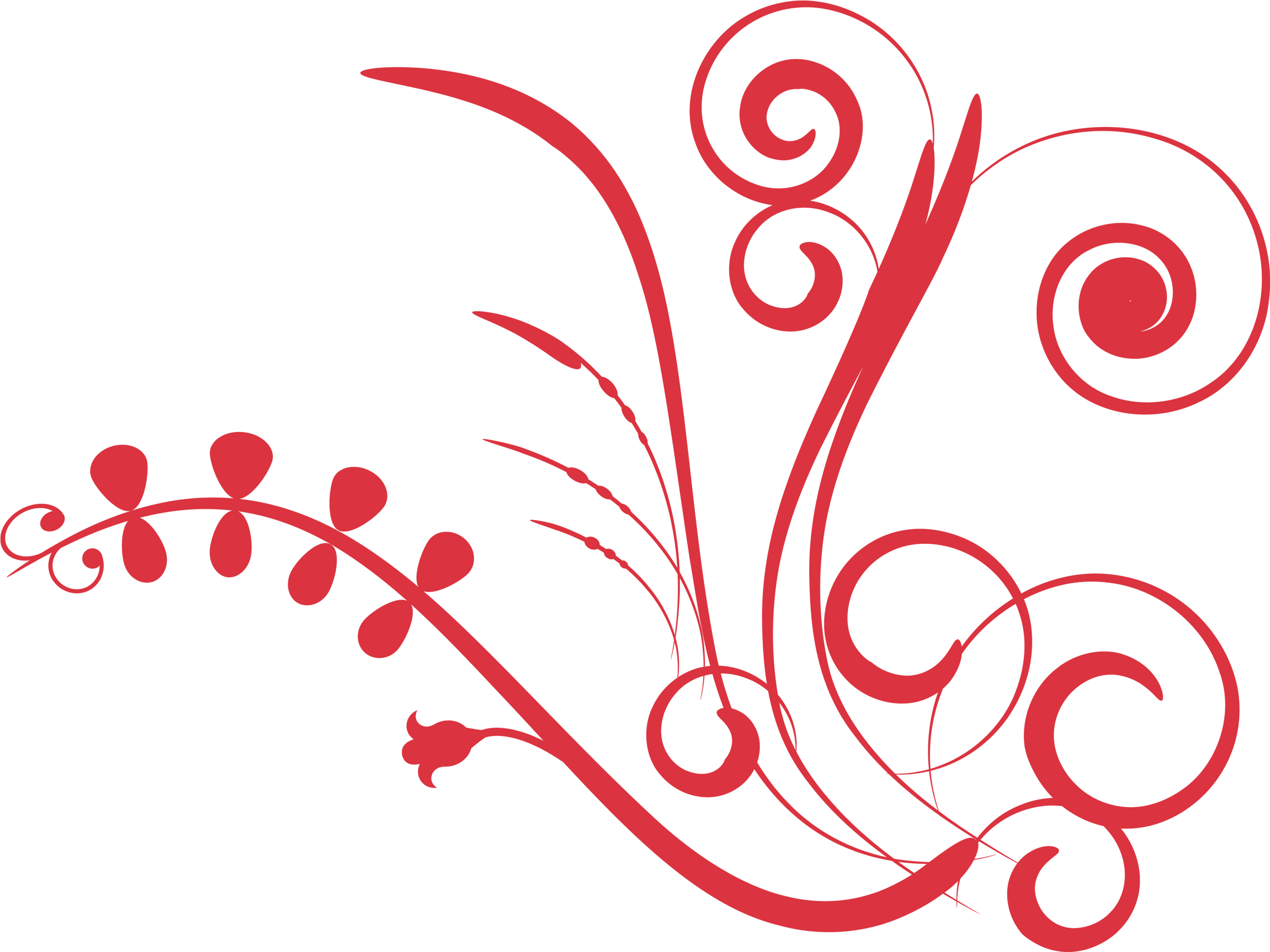 Download Calligraphy PNG Image with No Background - PNGkey.com
