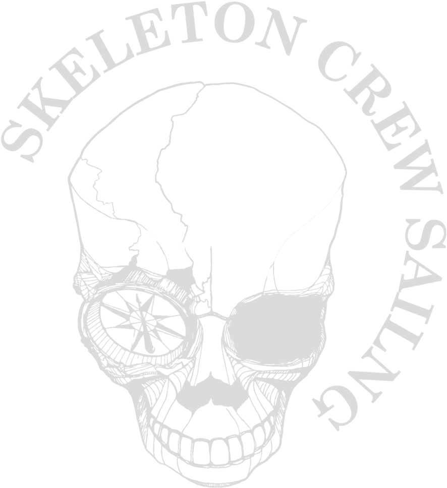 Download Skelton Png PNG Image with No Background - PNGkey.com