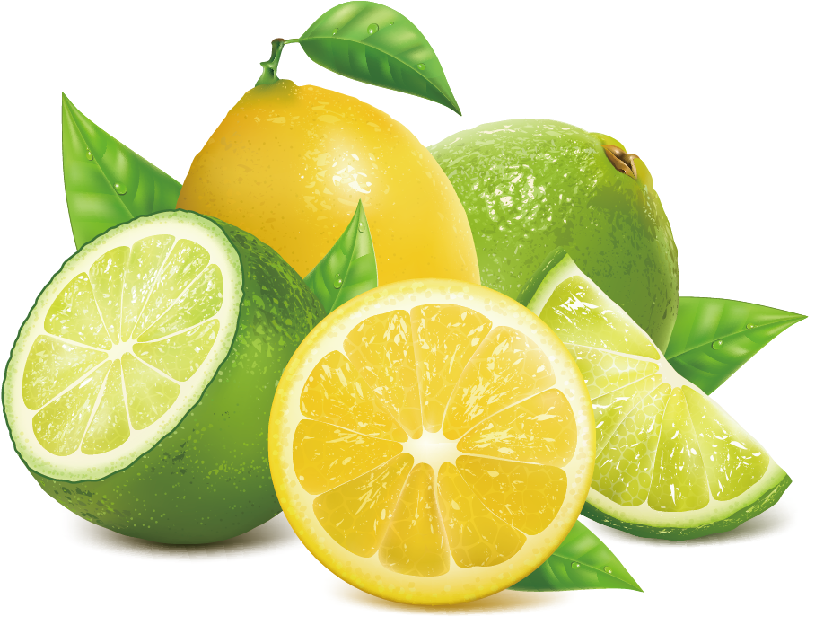 Download Lemon Key Lime - Lime Vector Png PNG Image with No Background ...