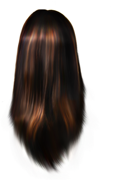 Download Hair Free Png Image Download - Back Of Hair Transparent PNG ...