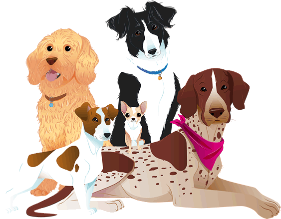 Download Dogfest Dogs - Treeing Walker Coonhound PNG Image with No ...