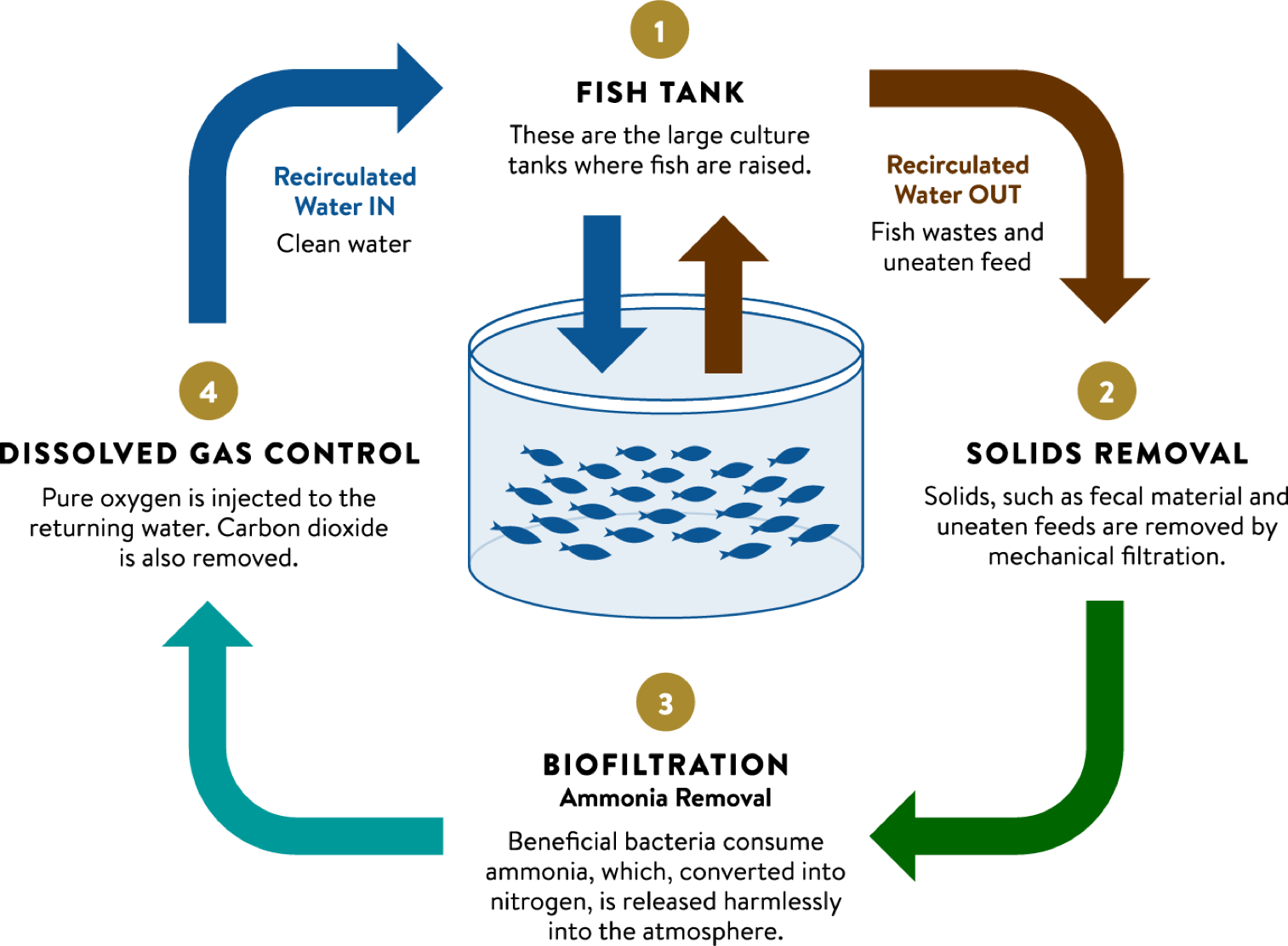 Download How Does A Ras System Work - Computer File PNG Image with No ...