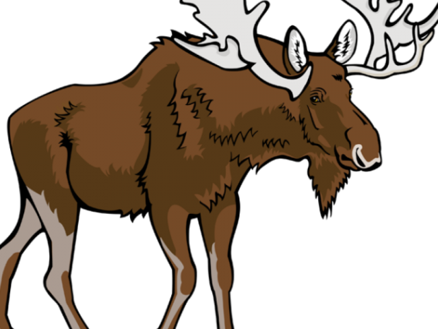 Moose Clipart Walking - Transparent Background Moose Clipart - Free ...