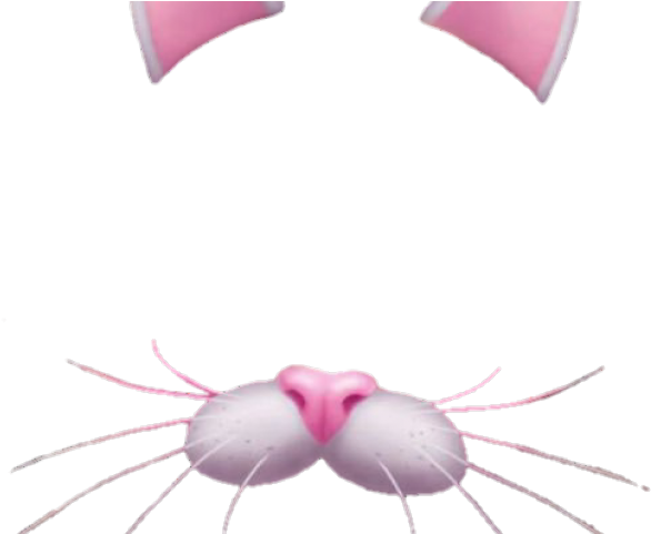 Download Snapchat Filters Clipart Snap Chat - Snapchat Cat Filter Png ...