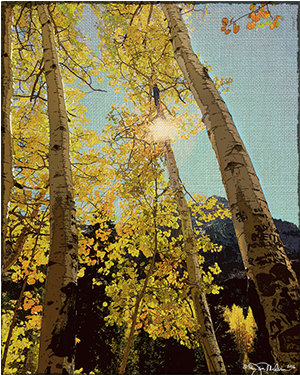 Download “aspen Tree - Painting PNG Image with No Background - PNGkey.com