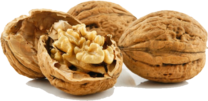 Walnut Png - Noci Png - Free Transparent PNG Download - PNGkey