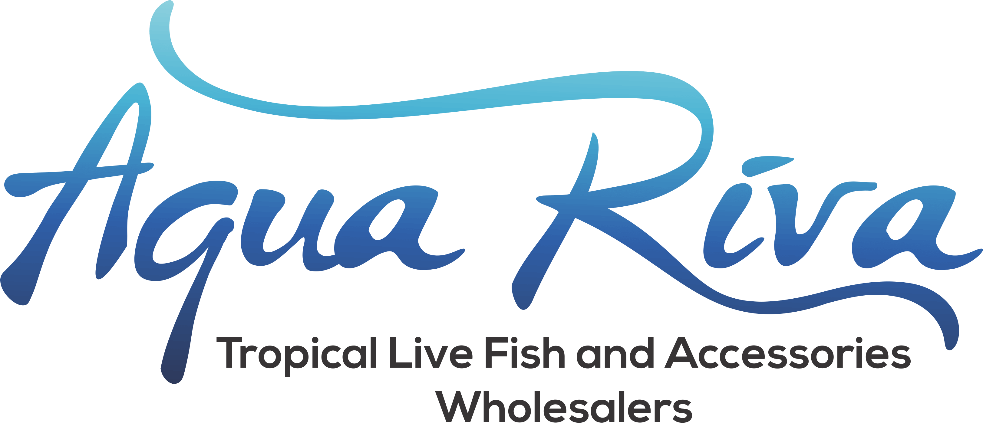 Download Aqua Riva - Calligraphy PNG Image with No Background - PNGkey.com