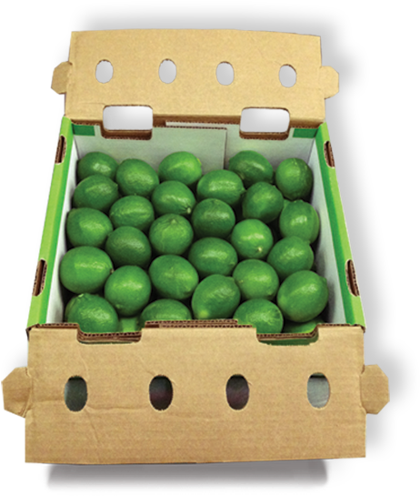Limes - Pony Box - Limes In Boxes - Free Transparent PNG Download - PNGkey